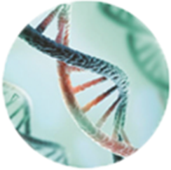 Technology & Science – AV Laboratories