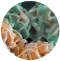 Technology & Science – AV Laboratories