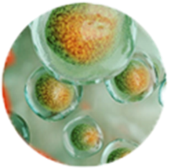 Technology & Science – AV Laboratories